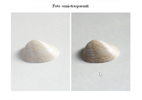 CSS, immagini semi-trasparenti in una pagina HTML – Tutorials Photoshop ...